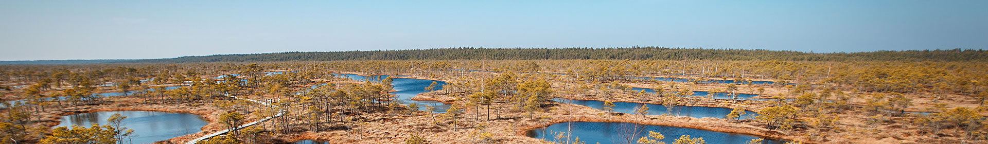 La mejor época para viajar a Letonia: Clima y afluencia turística