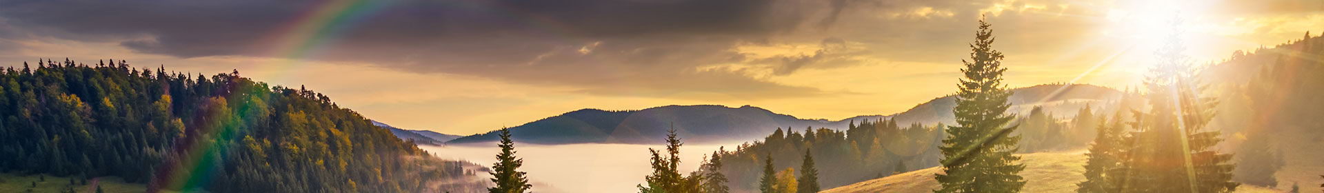 Transilvania : Clima y temperatura. La mejor época